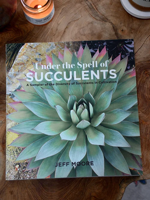 Shop — Poot's Cactus Nursery