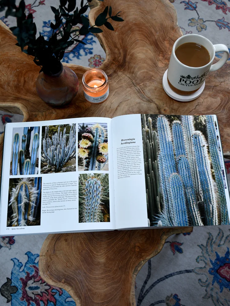 Shop — Poot's Cactus Nursery
