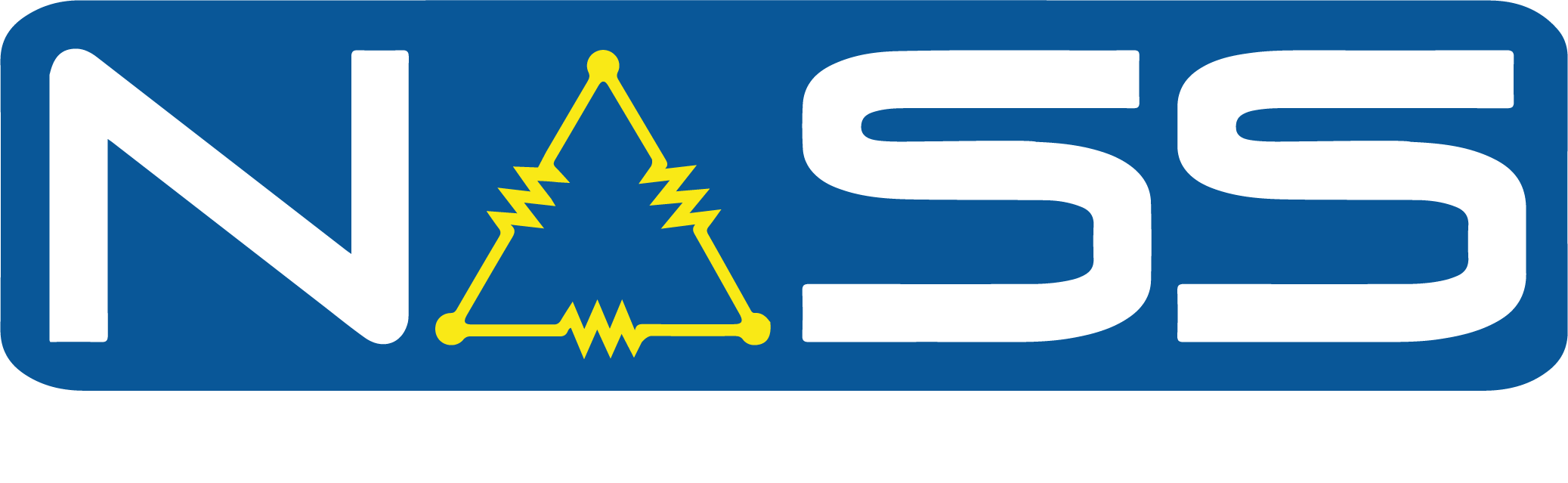 Who We Are — NASS USA