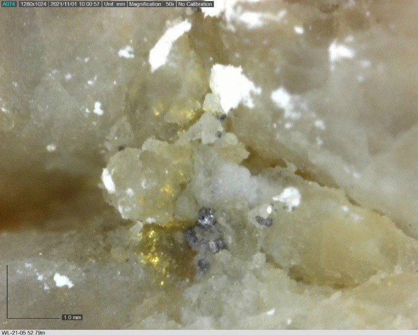 TRU Precious Metals Drills Visible Gold at Golden Rose Project