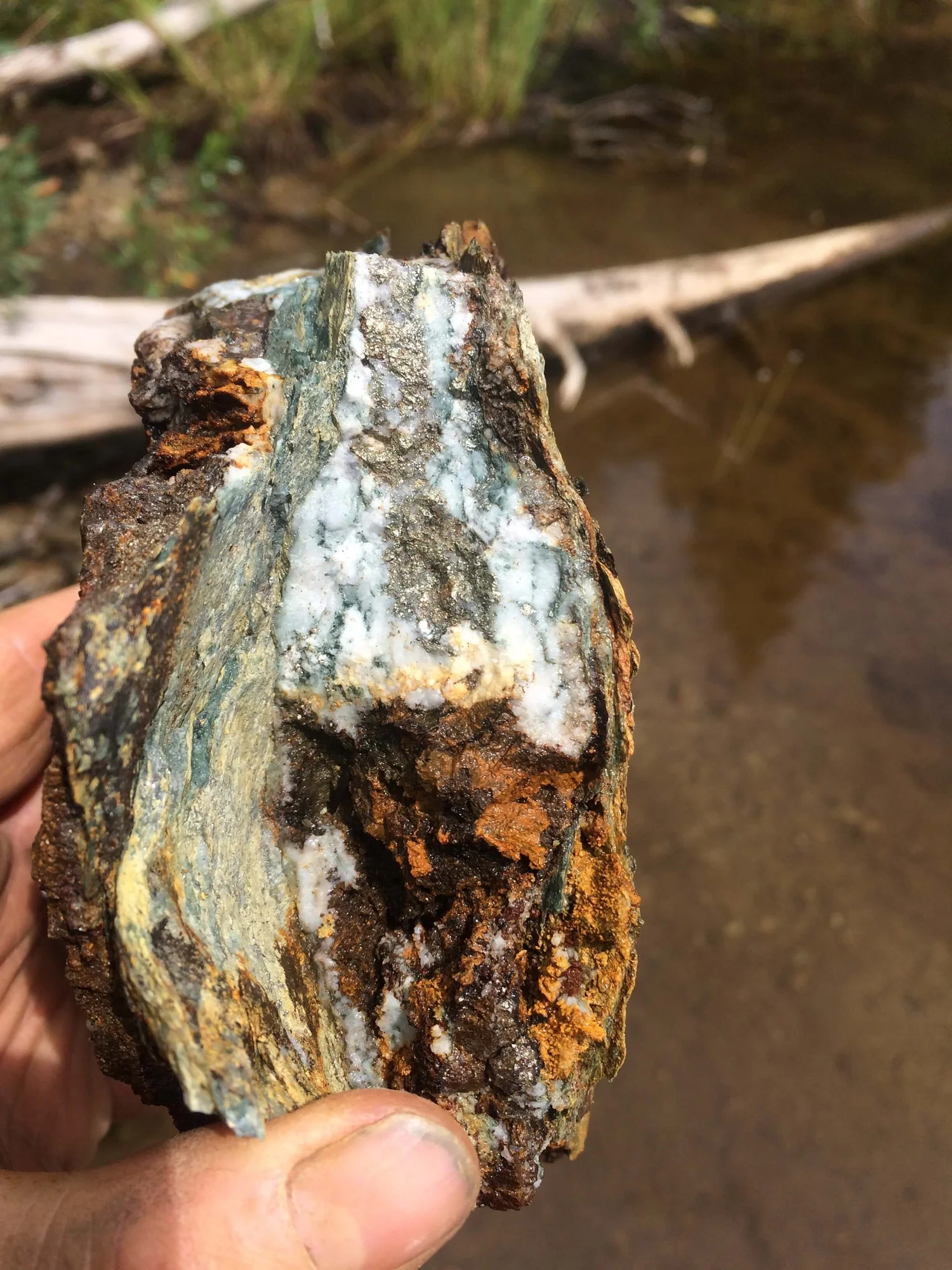 TRU INVESTORS — TRU Newfoundland Gold & Copper Exploration