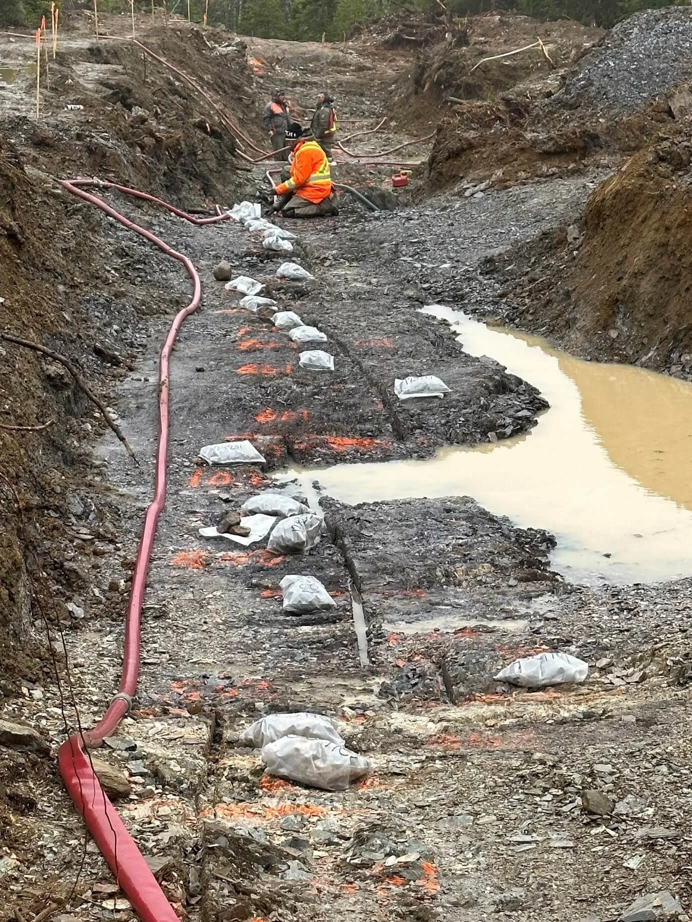 TRU Reports on Trenching Progress at Mark’s Pond High-Grade Gold Target ...