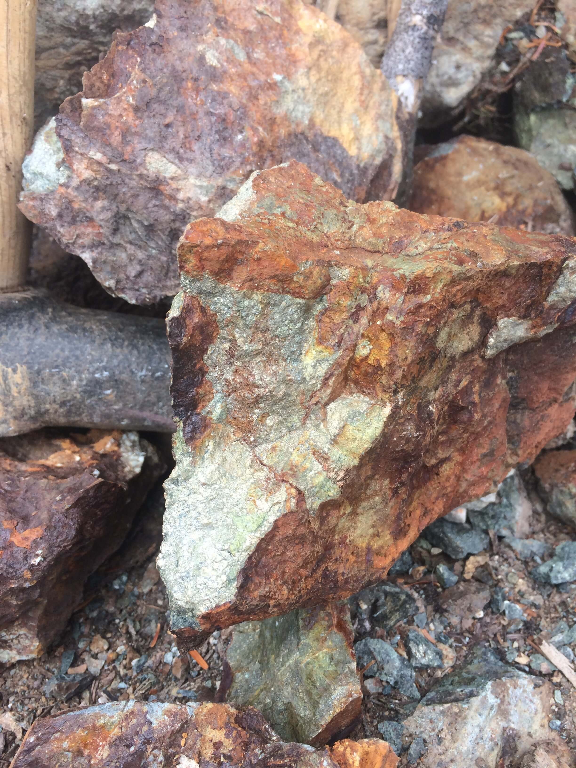 GOLDEN ROSE PROJECT — TRU Newfoundland Gold & Copper Exploration