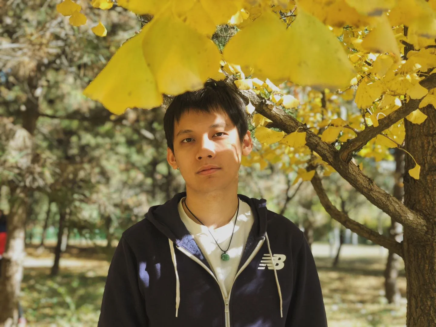 Team — Isotoparium