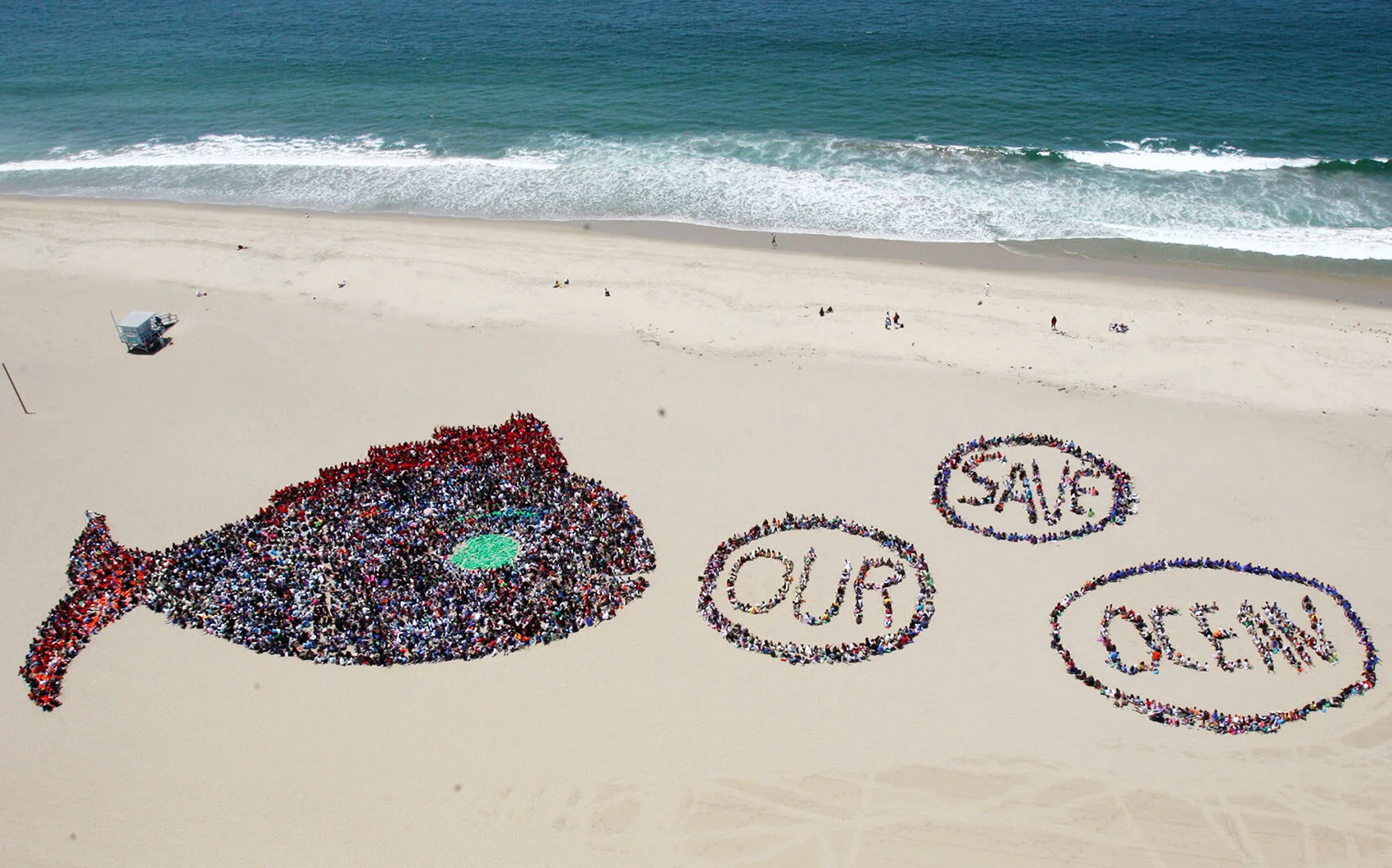 Our Story — Kids Ocean Day