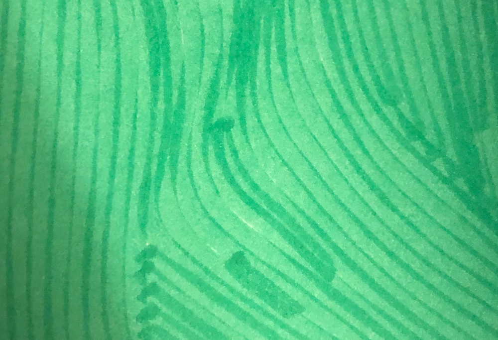 Madison Murphy Barney