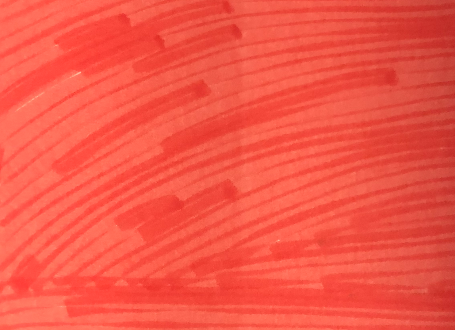 Madison Murphy Barney