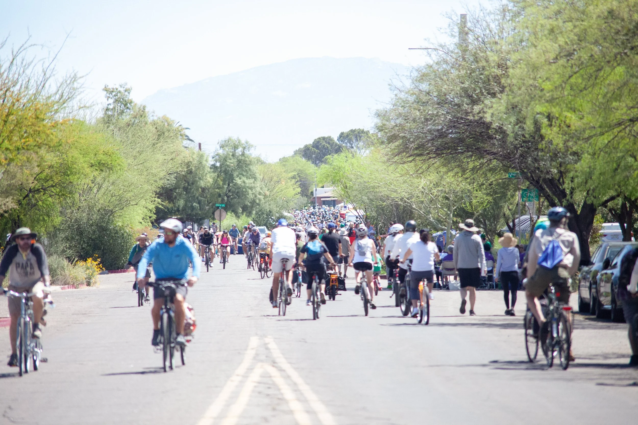 Living Streets Alliance