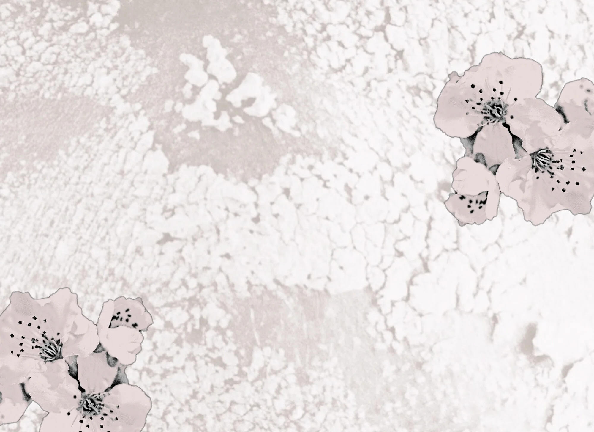 Heal EastWest | Dr. Jessica Sharratt, DAOM, LAc