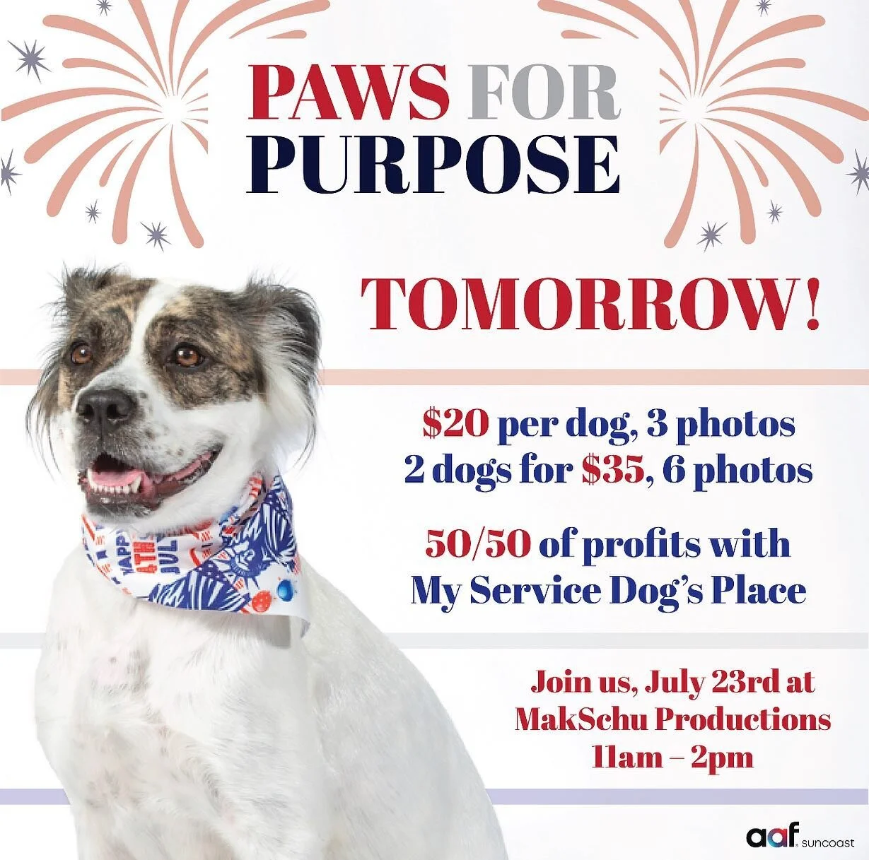 AAF Suncoast - The unifying voice of advertising on Florida's Suncoast