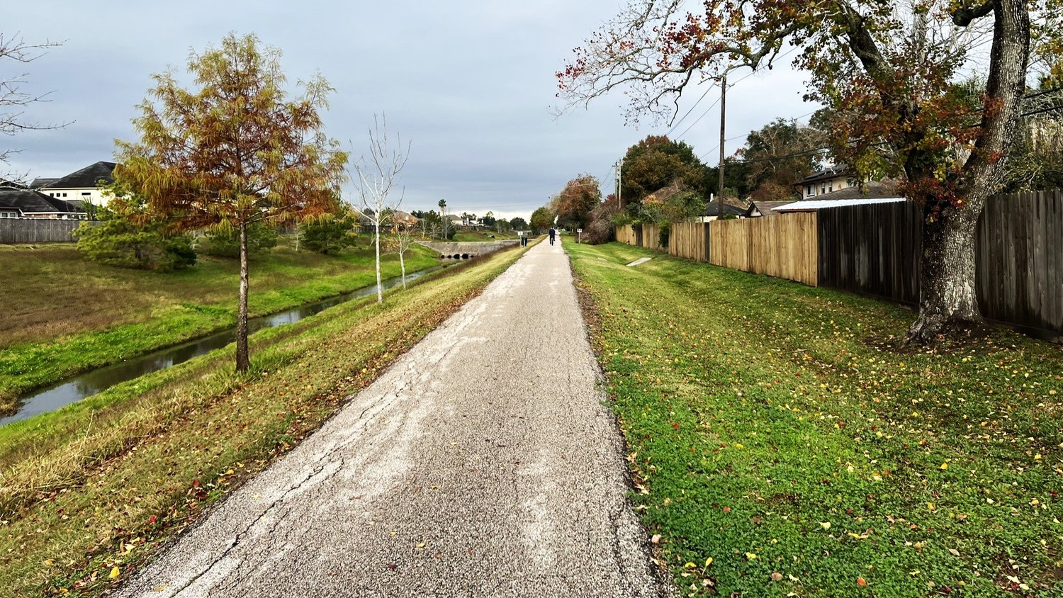 Memory Lane -- The Caregiver's Tales (A Blog)