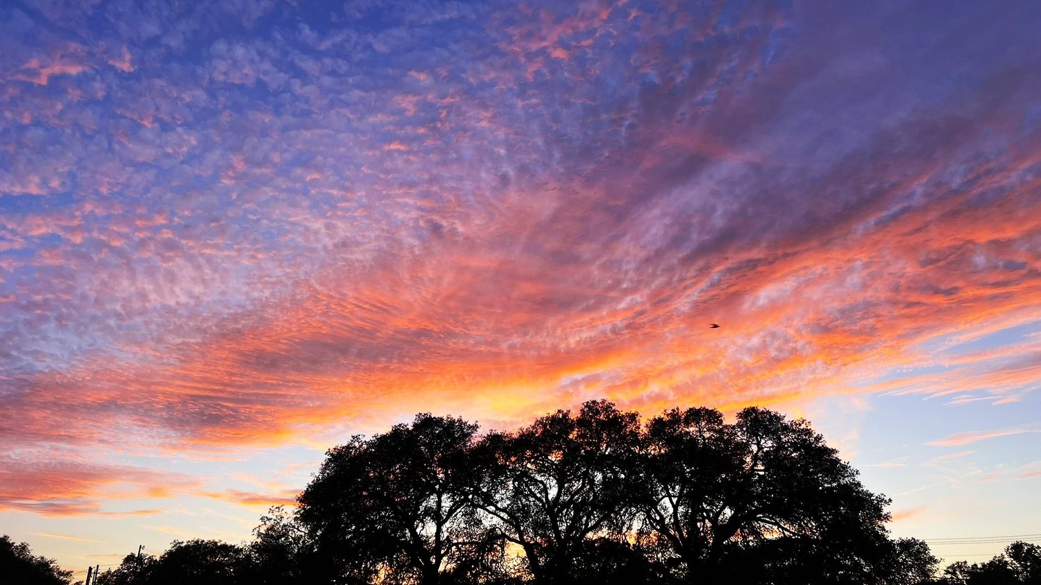 Teaching the Machine -- The Caregiver's Tales (A Blog)