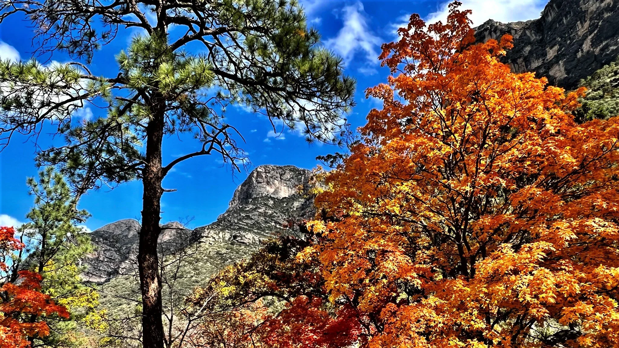 Thoughts While Driving