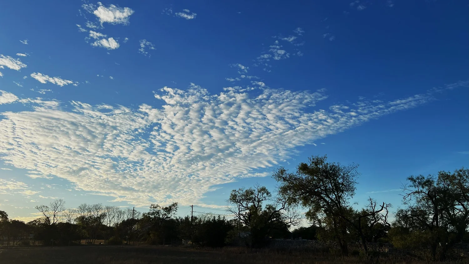 Earth Words -- The Caregiver's Tales (A Blog)