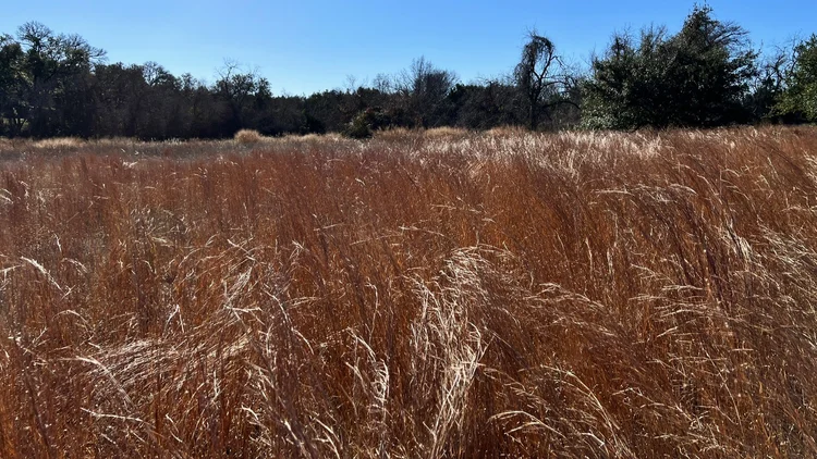 Seeking Answers -- The Caregiver's Tales (A Blog)