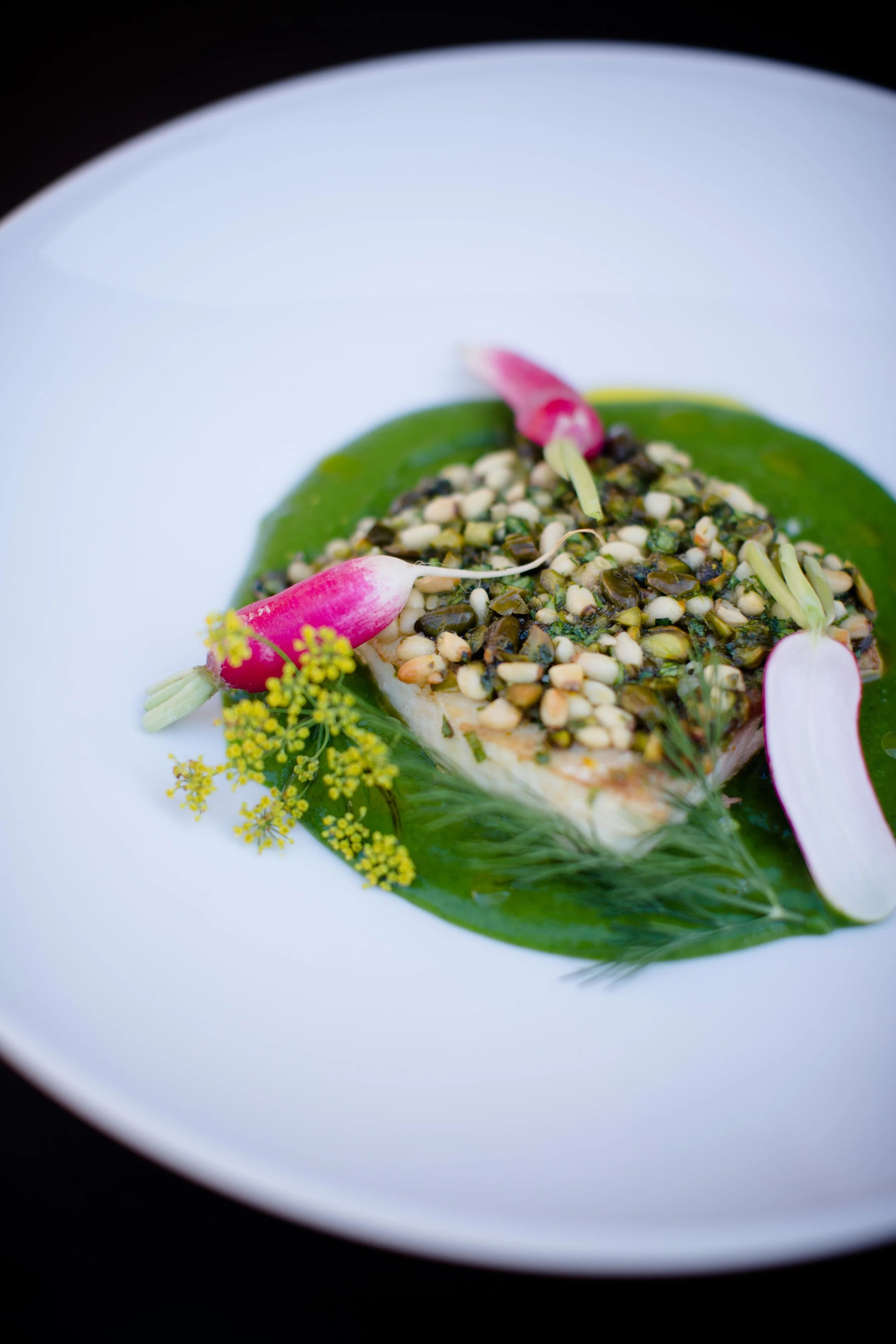 General 4 — Two Many Cooks