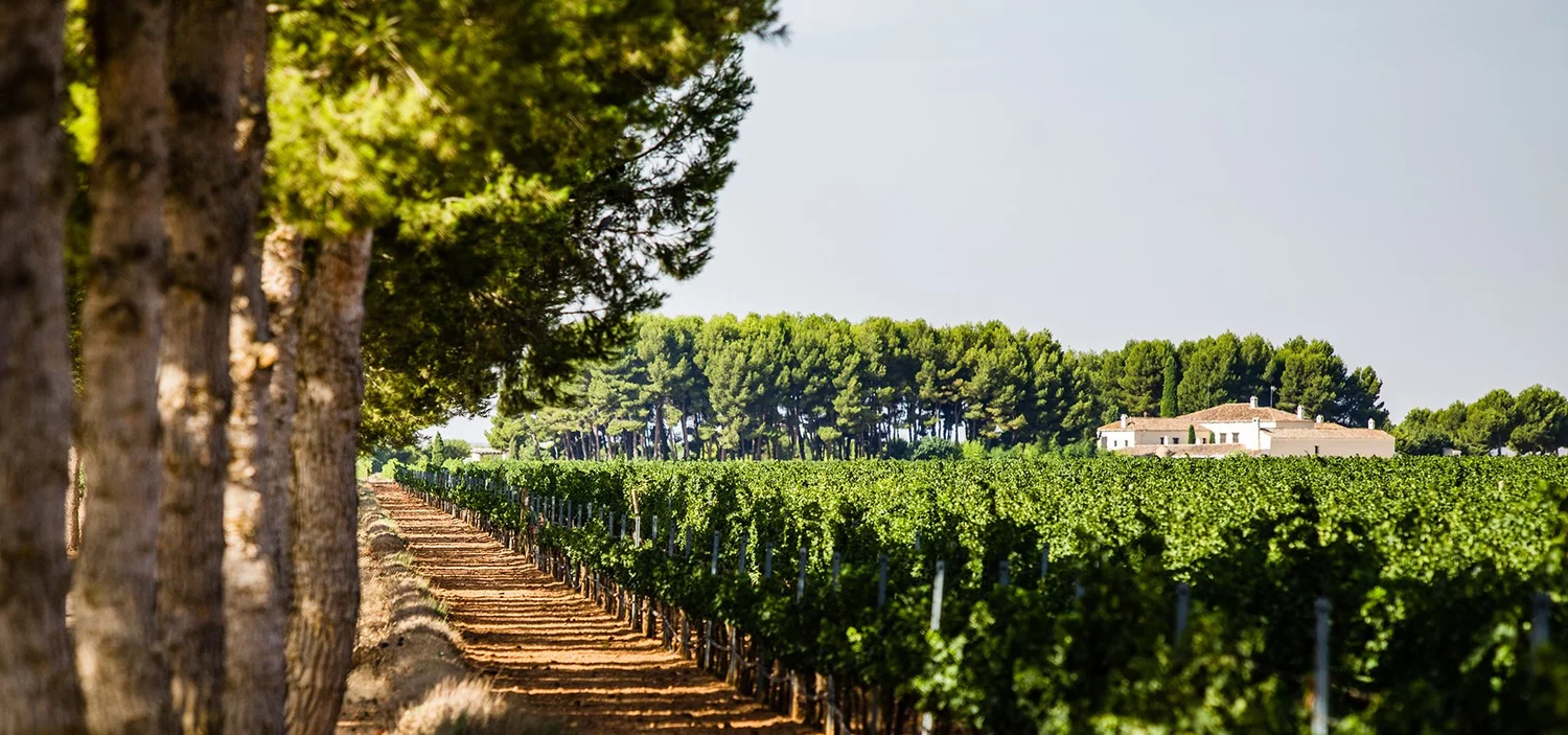 Spain & Rioja - Lozano — Frederick's Wine Company