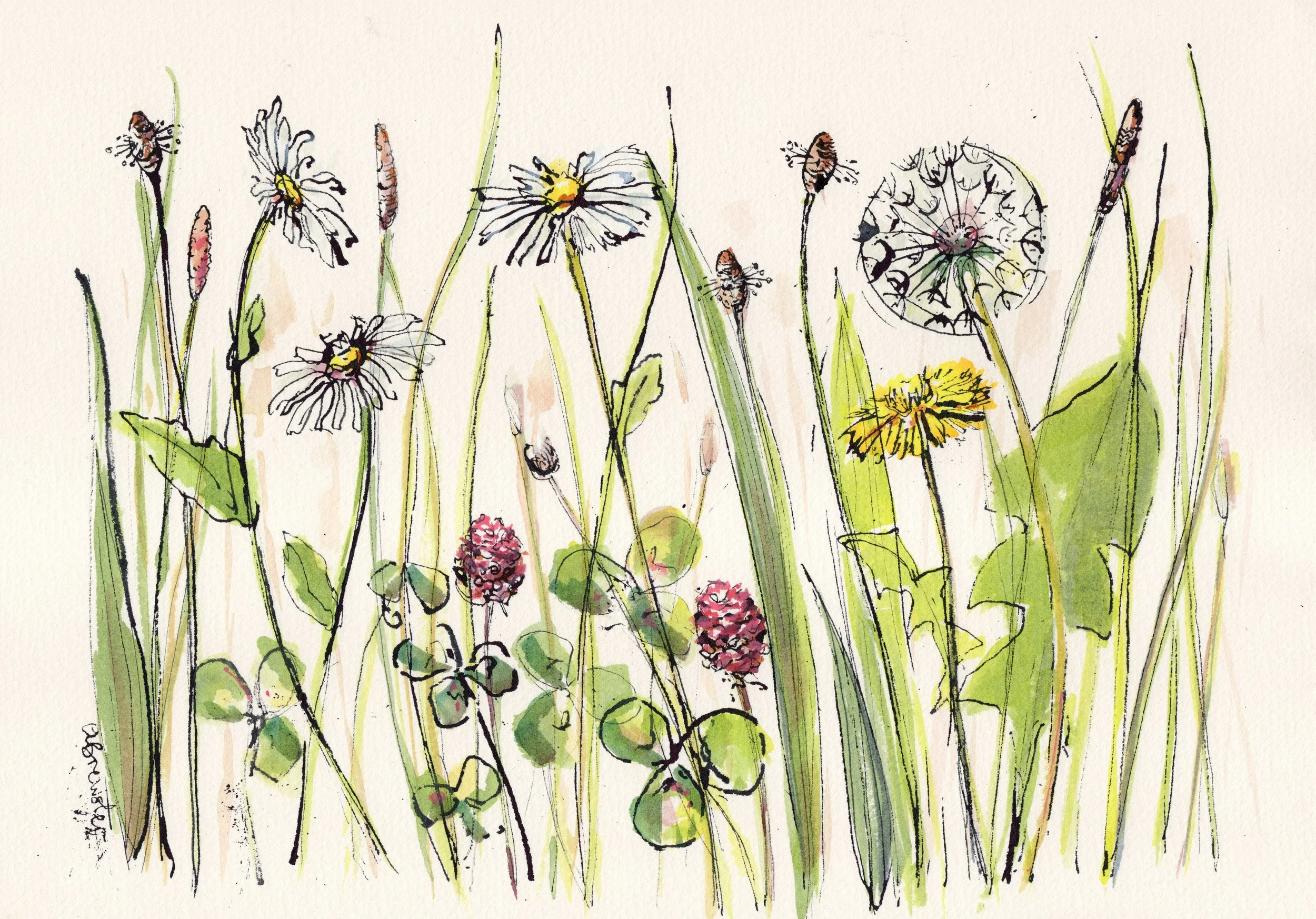 Anna Brewster | East Devon Artist and Illustrator