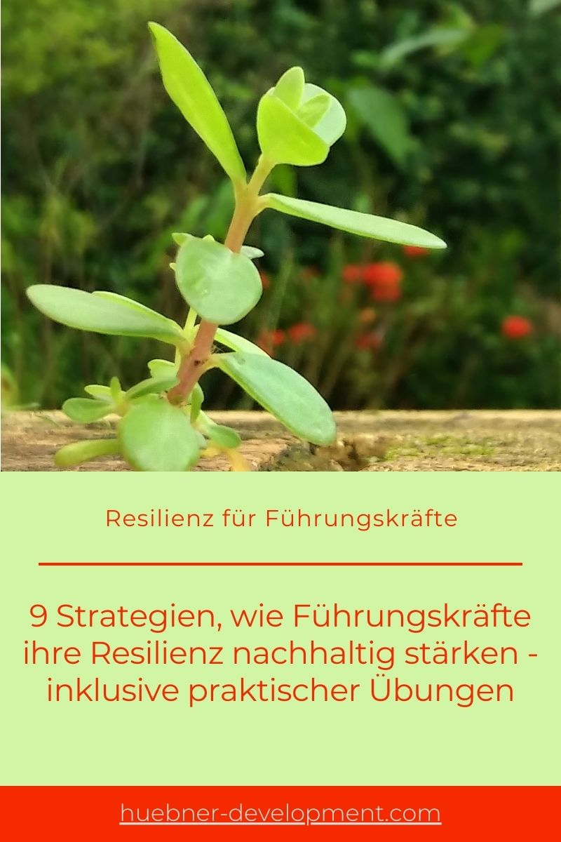 Resilienz Führungskräfte: 9 nachhaltige Strategien inkl. praktischer Übungen - Blog