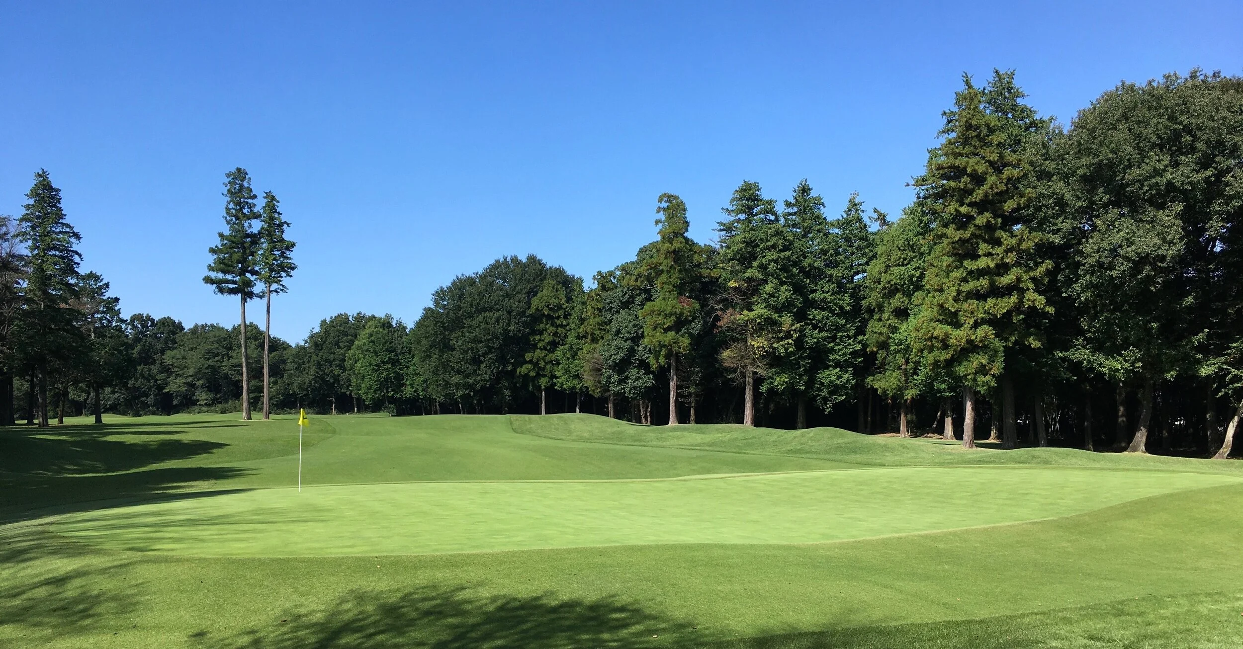 The Seasons in Japan - When to Play Golf — The Tokyo Golfer