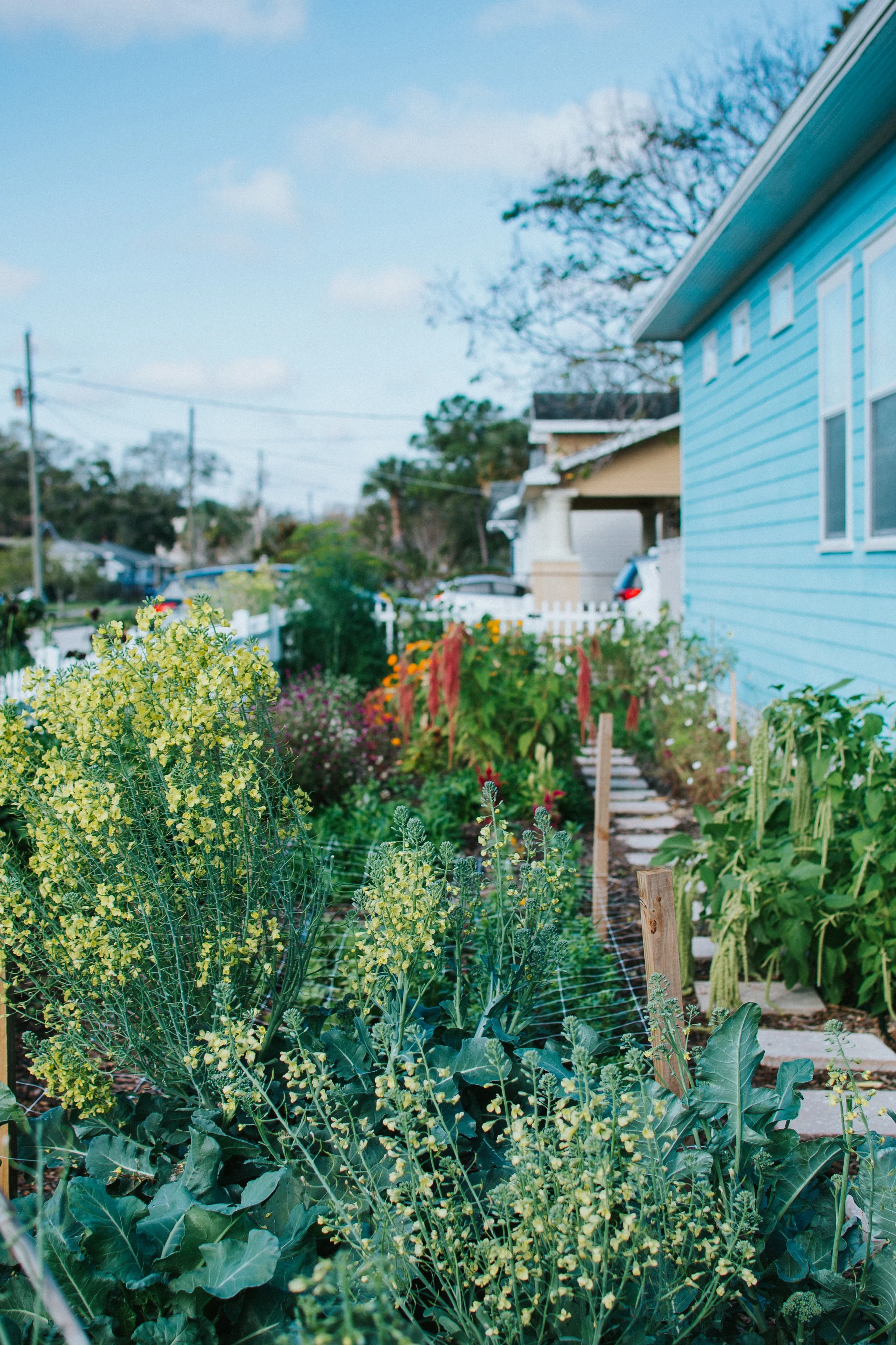 Sustainability — Blue House Florals