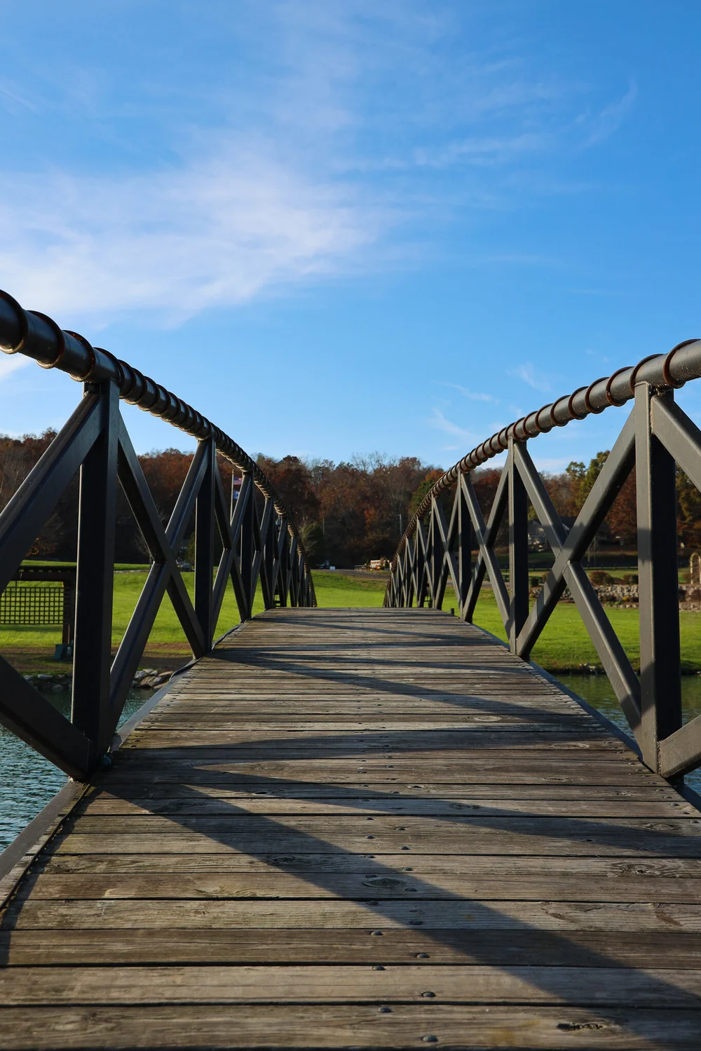Gallery 3 — Willow Tree Farms