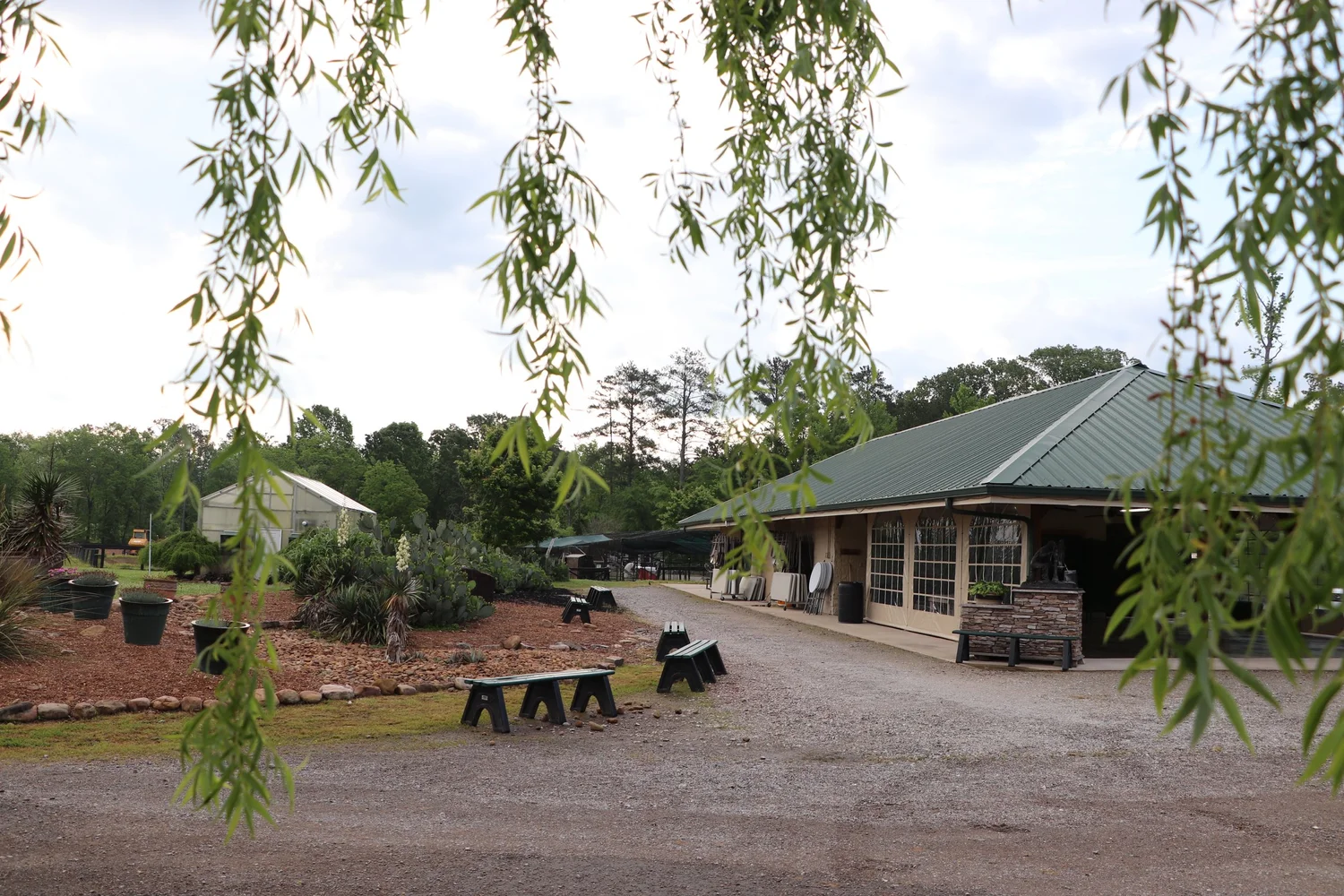 Gallery 3 — Willow Tree Farms