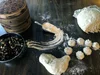 Cai's Dim Sum Catering