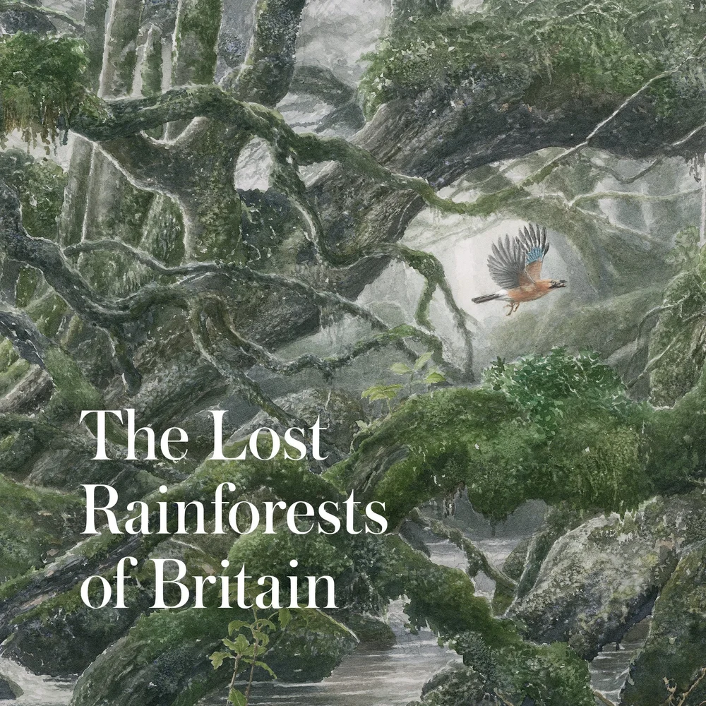 Further reading — Alliance for Scotland’s Rainforest
