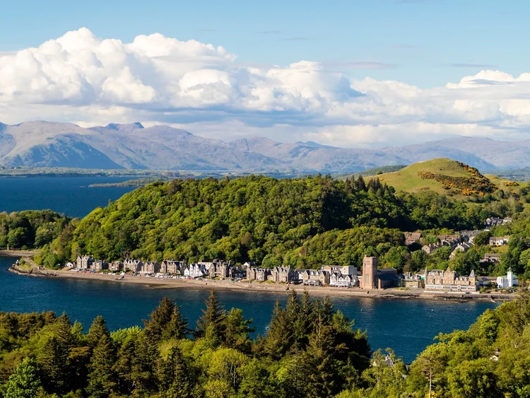 Top places to visit in Scotland's rainforest — Alliance for Scotland’s ...