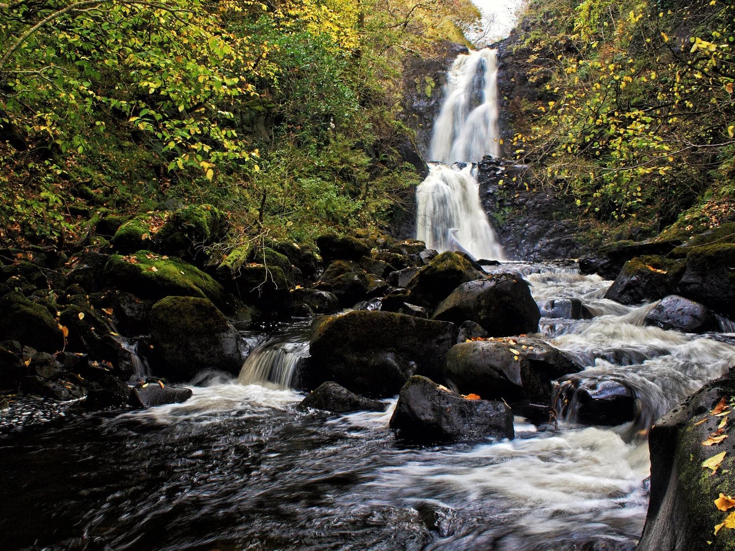 Top places to visit in Scotland's rainforest — Alliance for Scotland’s Rainforest
