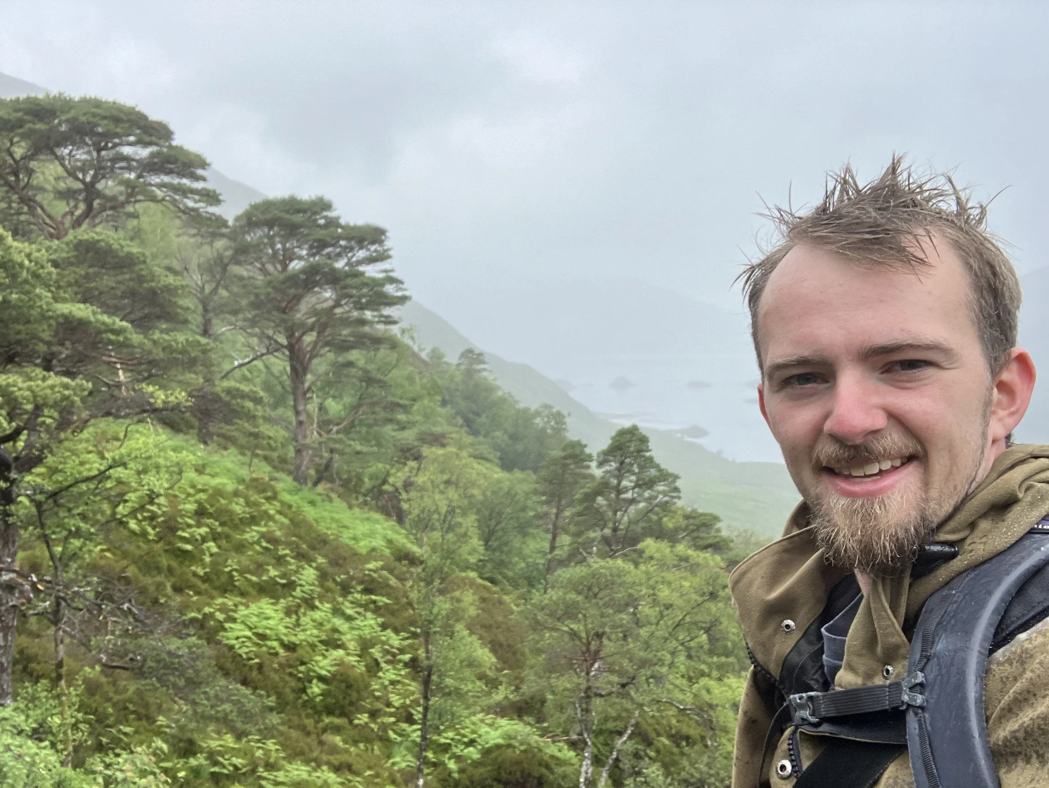 Voices from the rainforest — Alliance for Scotland’s Rainforest