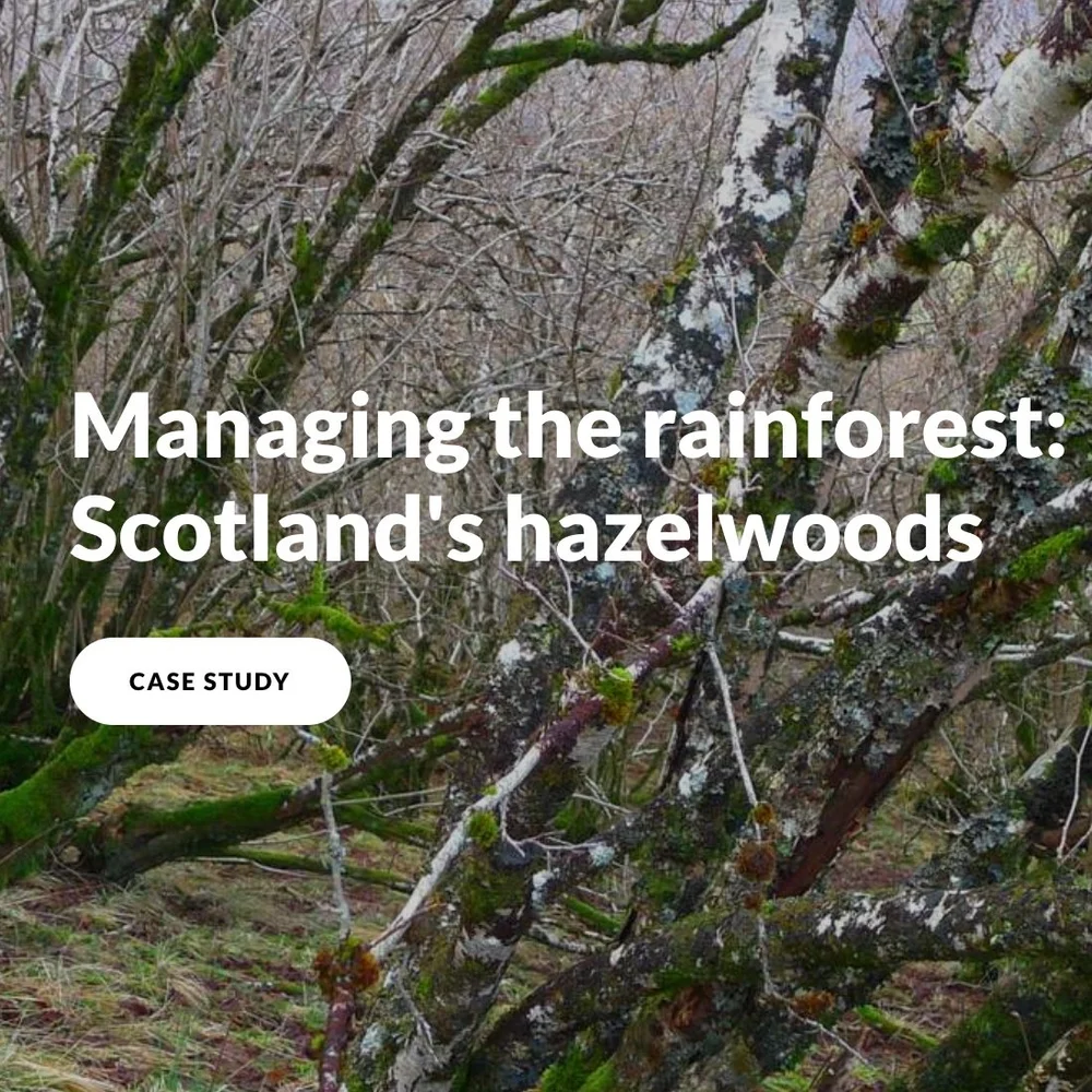 General resources — Alliance for Scotland’s Rainforest