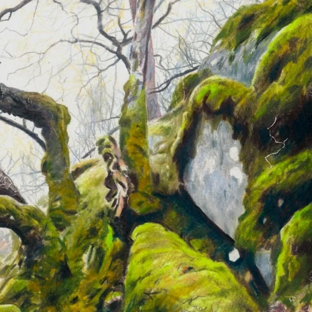 General resources — Alliance for Scotland’s Rainforest