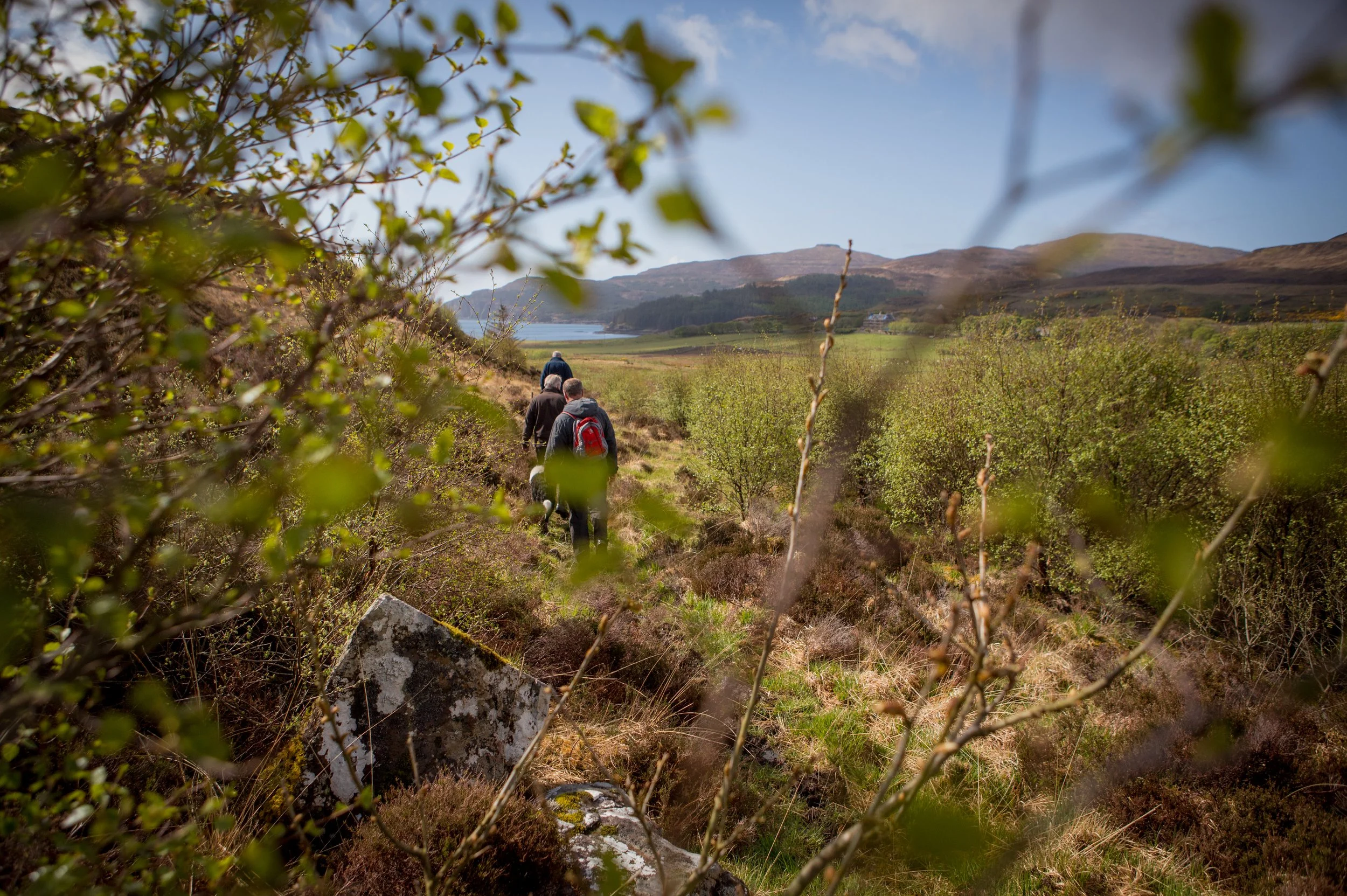 Crofters and communities — Alliance for Scotland’s Rainforest