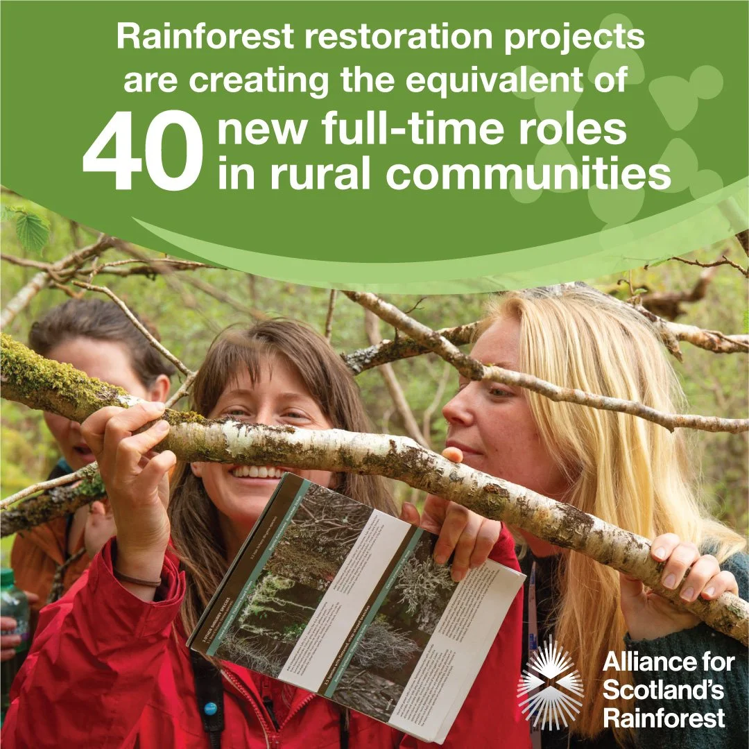 Rainforest restoration projects bring jobs and investment to rural ...