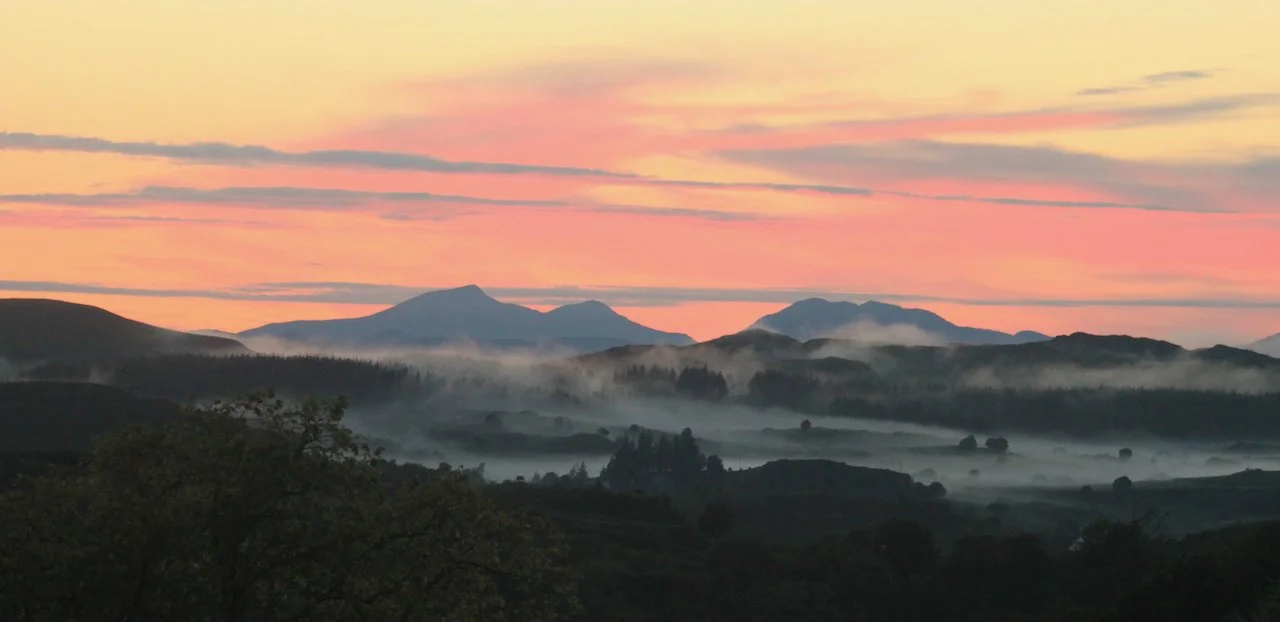 Regeneration Craignish Rainforest — Alliance for Scotland’s Rainforest