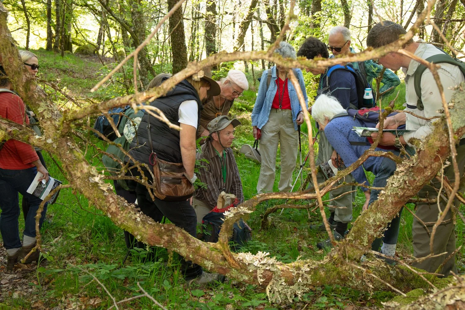 Building capacity to save Scotland’s rainforest — Alliance for Scotland’s Rainforest