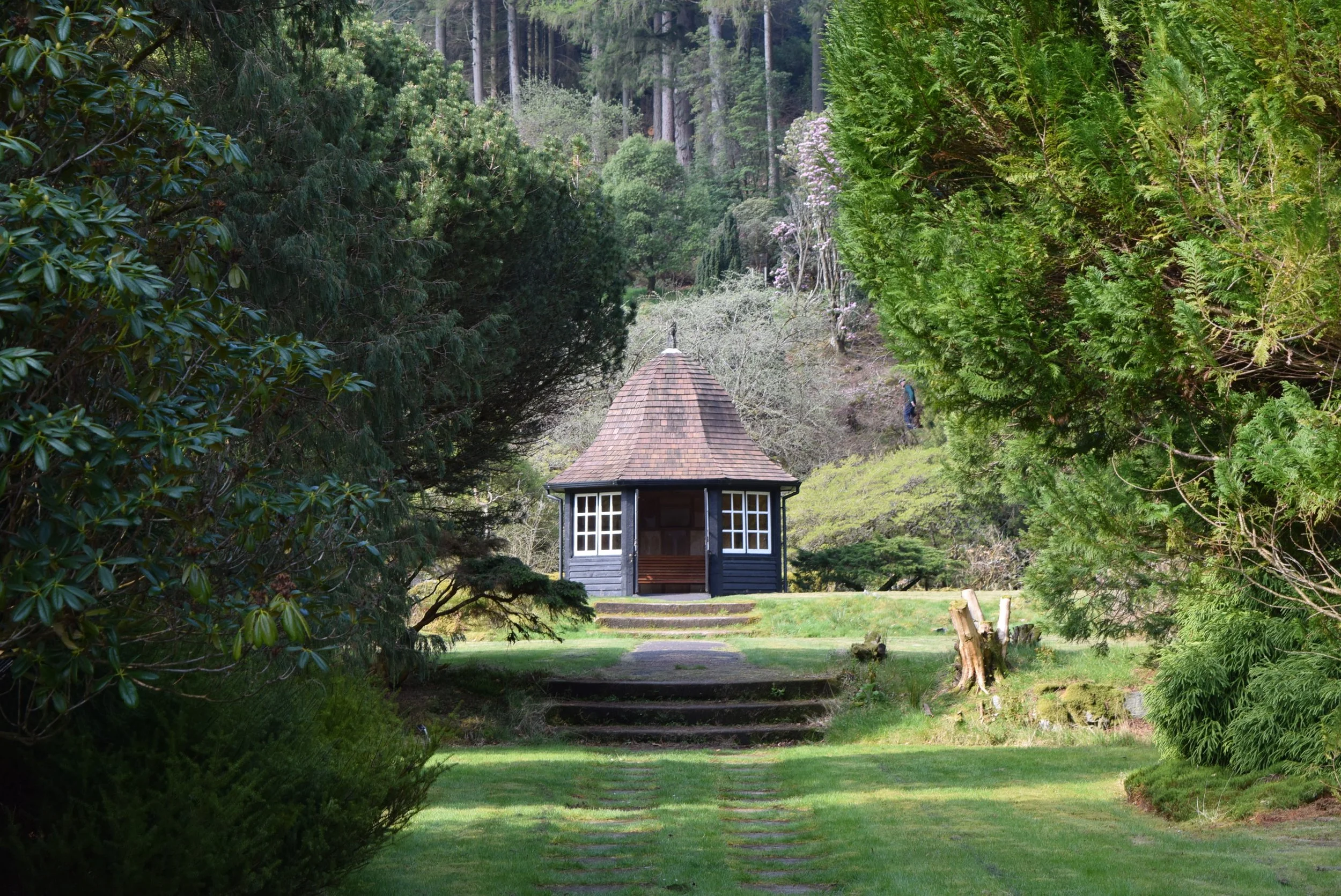 New Moss Trail at Benmore Botanic Gardens — Alliance for Scotland’s ...