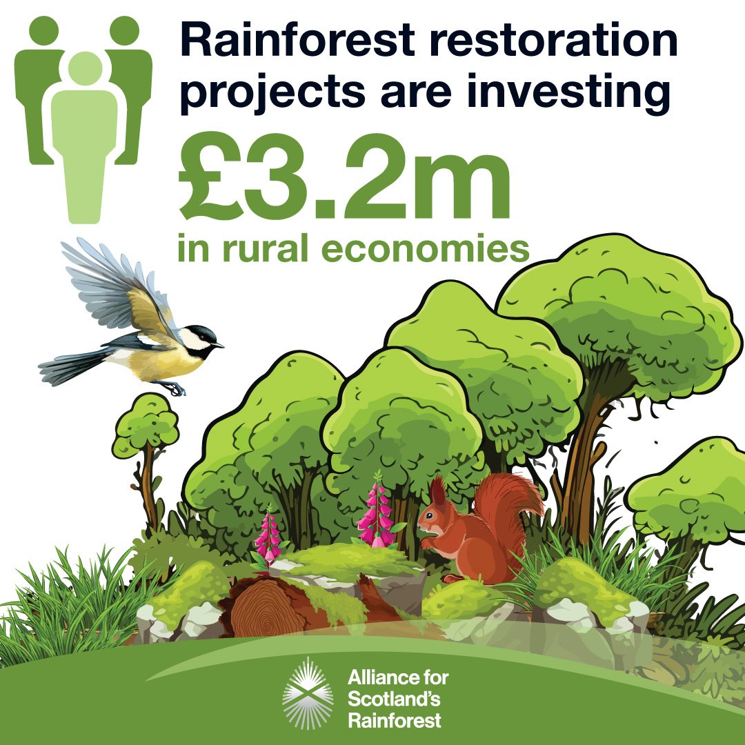 Rainforest restoration projects bring jobs and investment to rural communities — Alliance for ...
