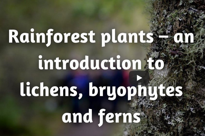 Identification Guides — Alliance for Scotland’s Rainforest