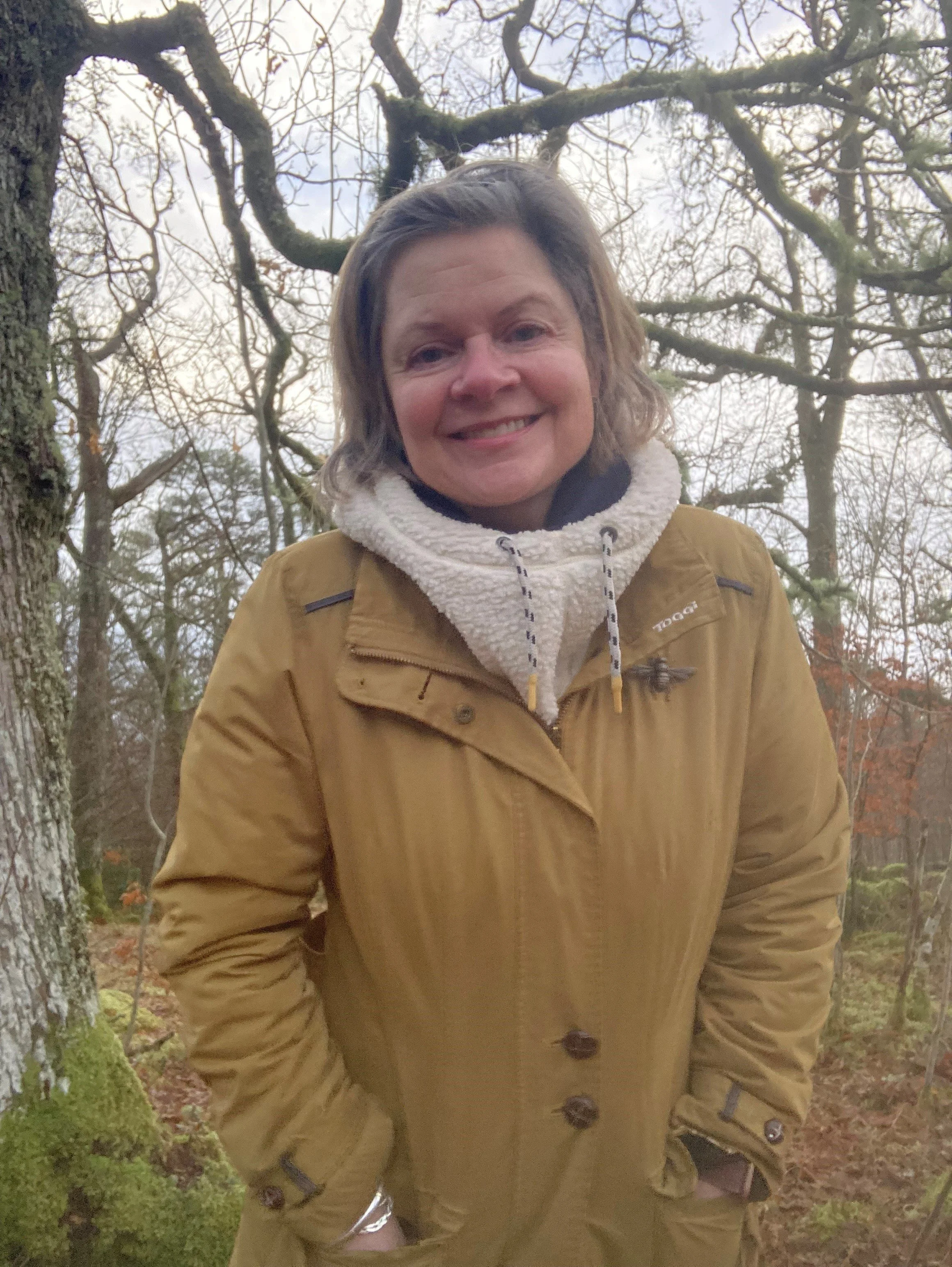 The ASR Steering Group Meet the Team — Alliance for Scotland’s Rainforest