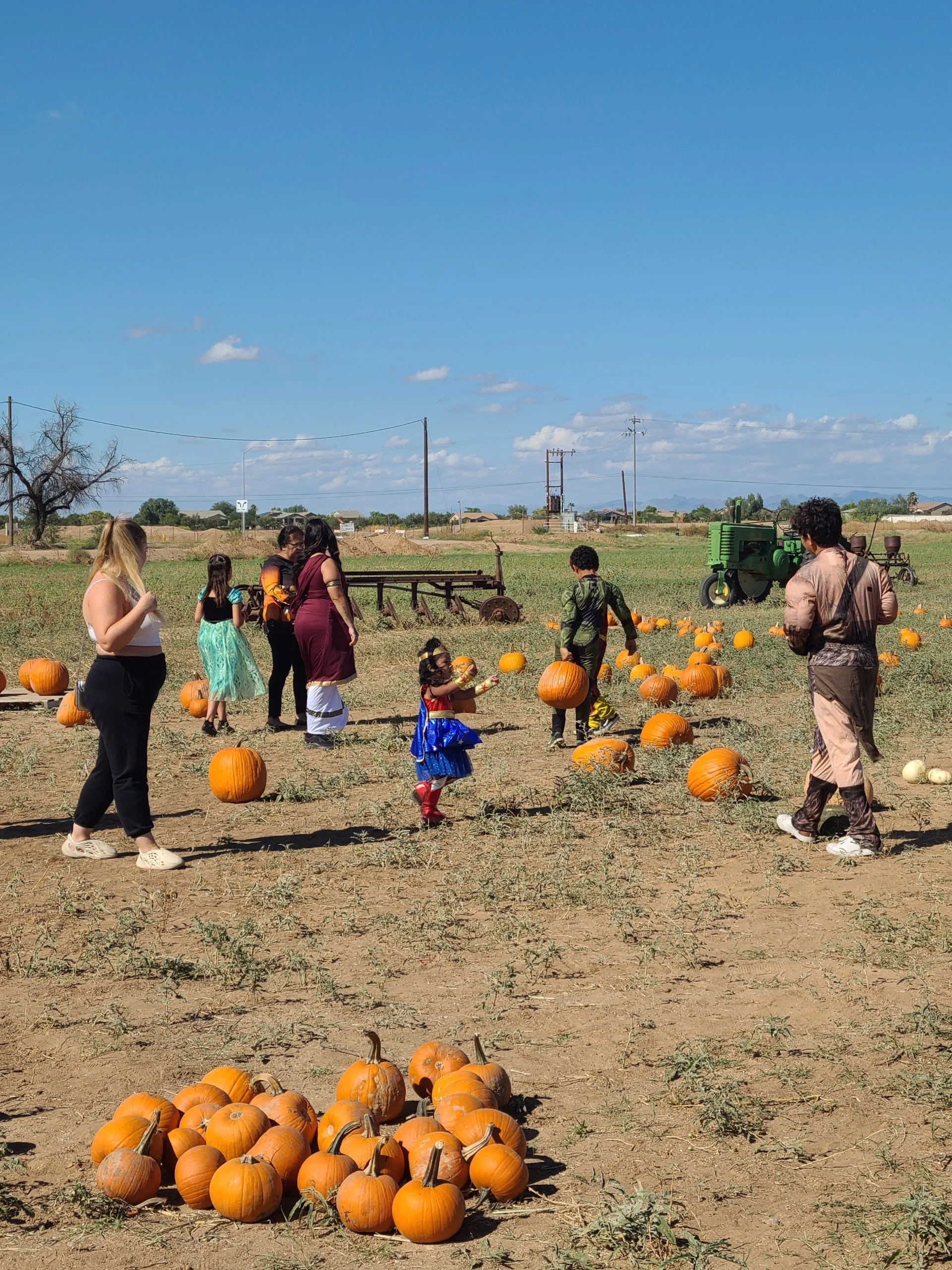 At the Farm Details — Justice Brothers