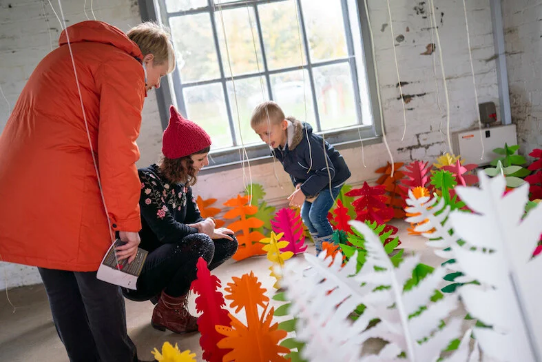 Fallen Forest — Bethan Maddocks | Visual Artist