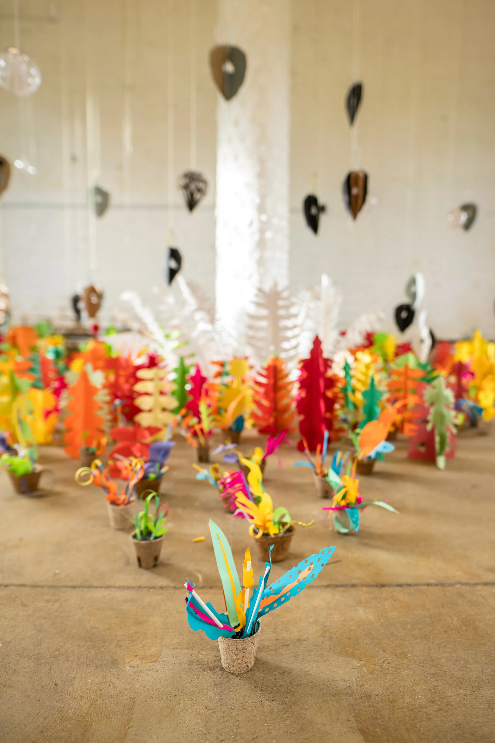 Fallen Forest — Bethan Maddocks | Visual Artist