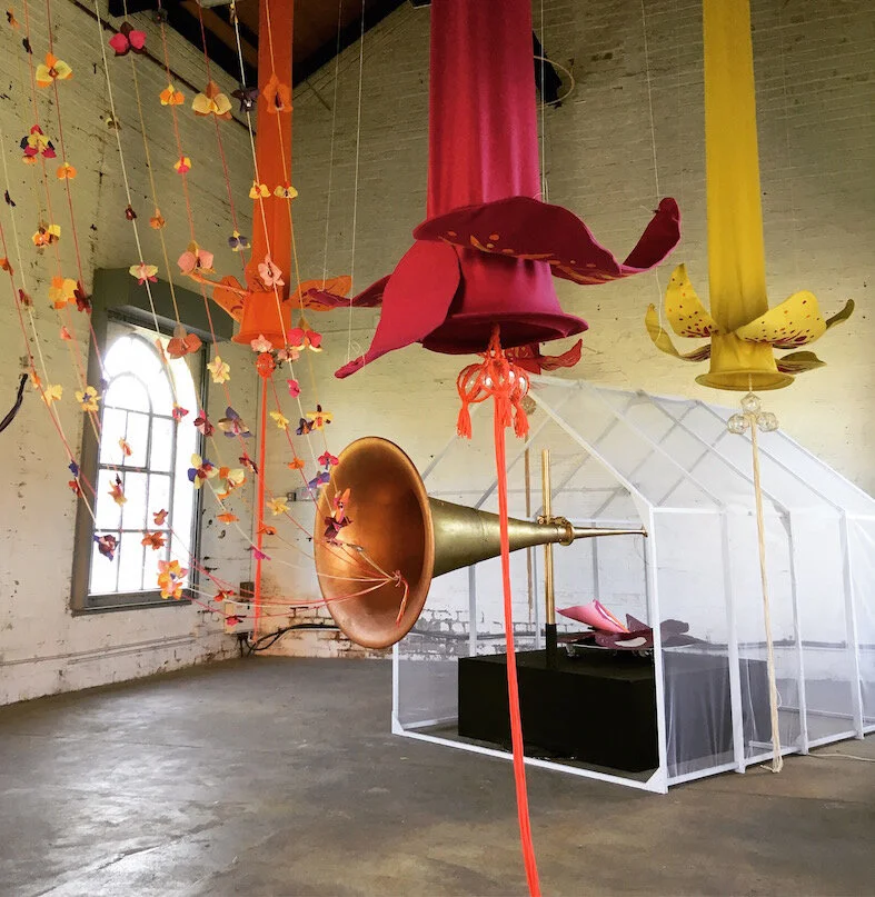 Floraphone — Bethan Maddocks | Visual Artist