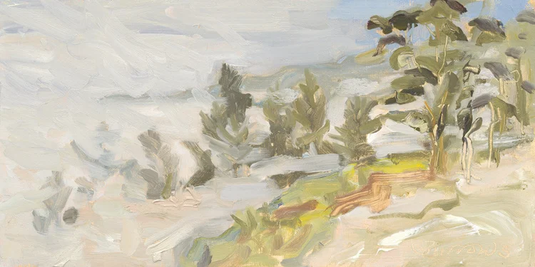 SUSAN BURROWS DABNEY