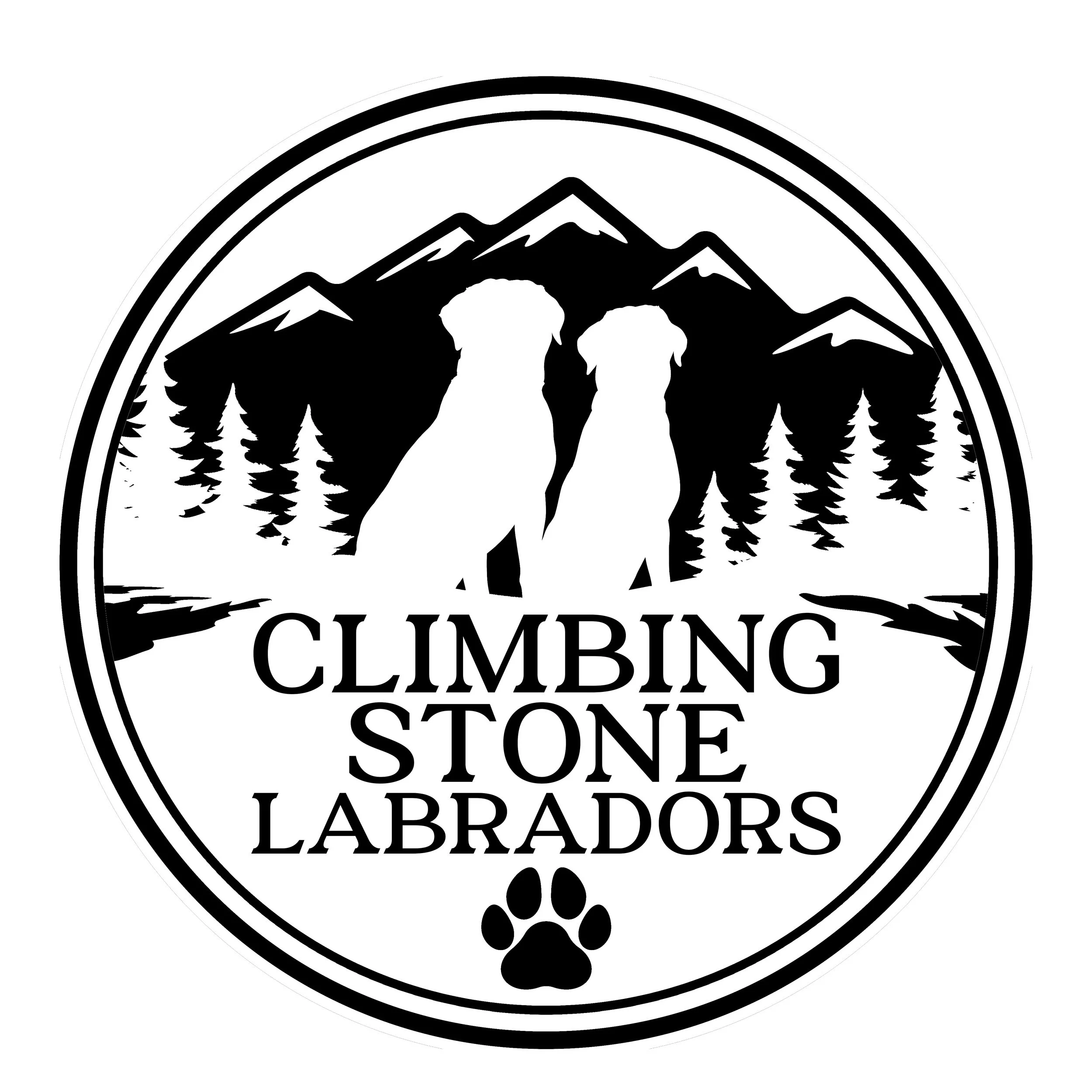 Climbing Stone Labradors | Find Your Perfect Puppy - Apply Today ...