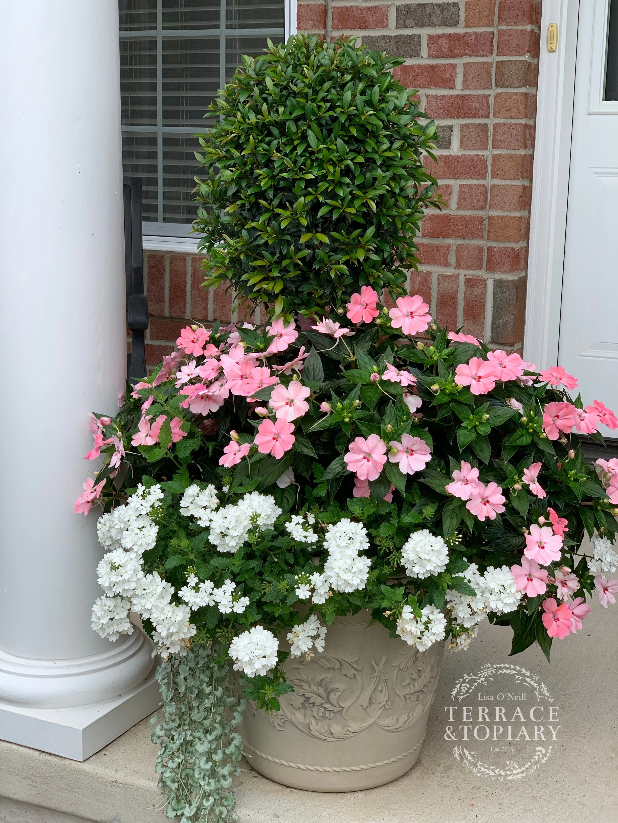 Residential Decor — Terrace & Topiary by Lisa O'Neill