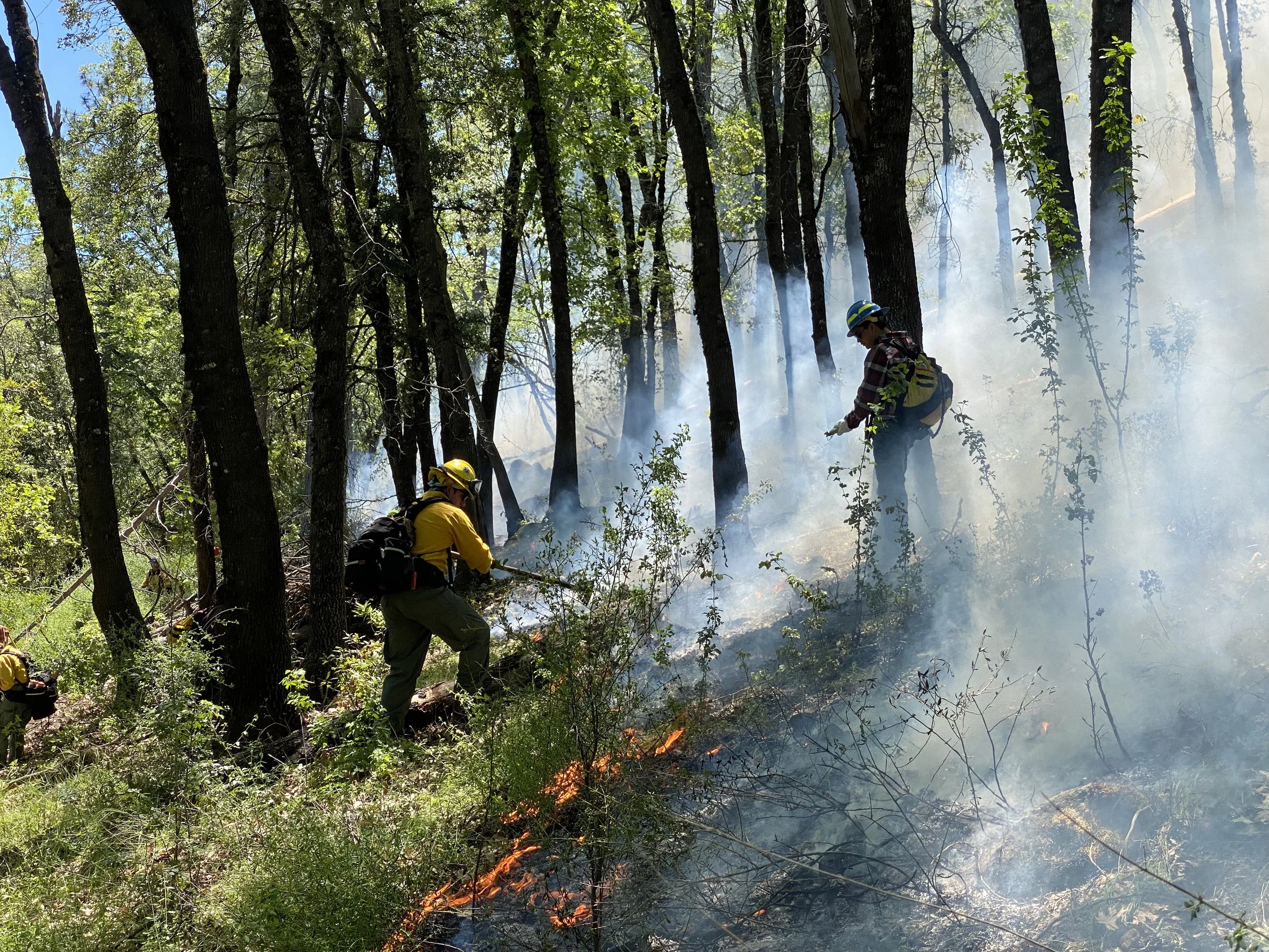 EcoCultural Fire Crew — TERA